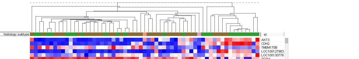 Morpheus - Documentation
